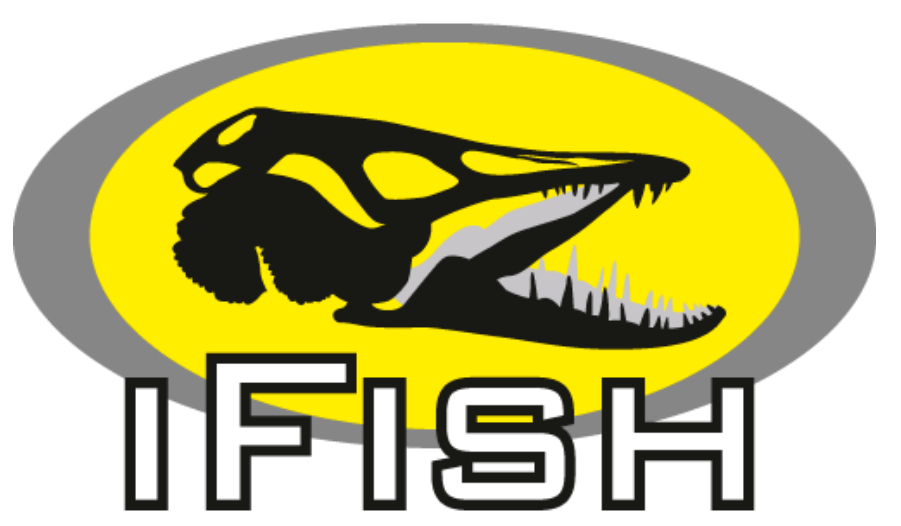 iFish